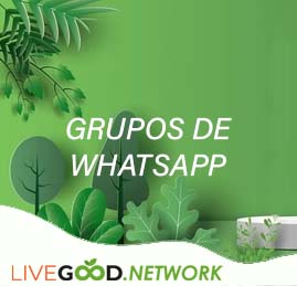 Grupos de WhatsApp BRASIL | LIVEGOOD | Cadastro | LIVE GOOD